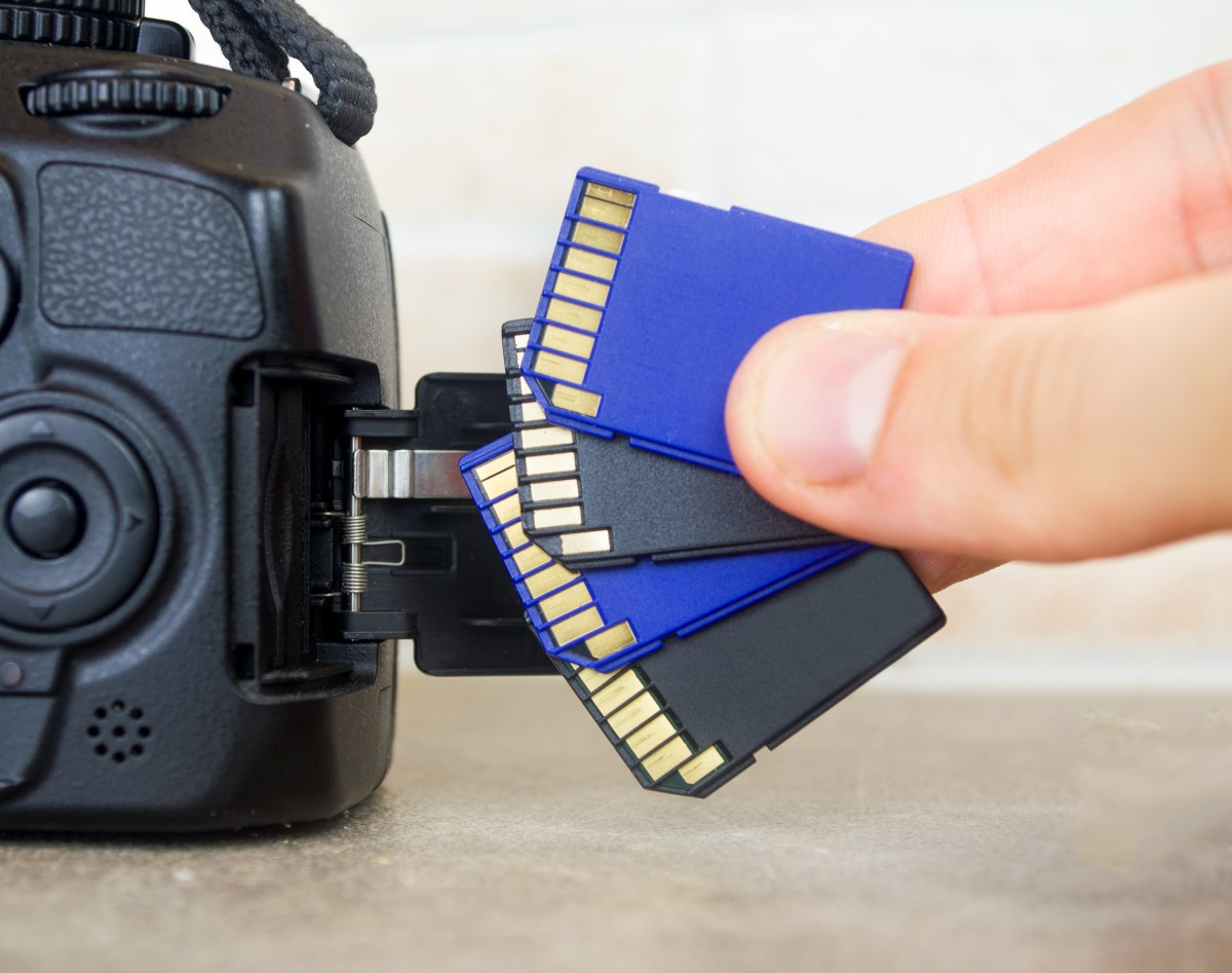 How to Keep Your Memory Cards in Top Shape for Your Next Shoot – Action ...